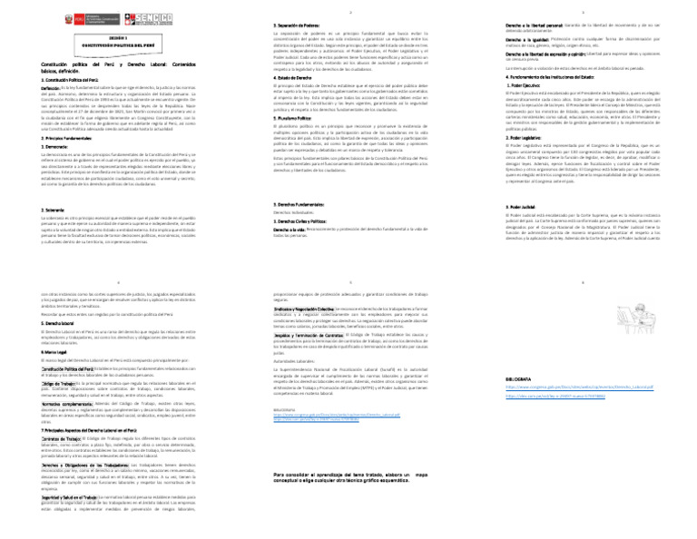 Separata 1 Constitución PP | PDF | Derecho laboral | Judicaturas
