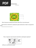 Nutrition in Plants Class 7 Worksheet Science Chapter 1 | PDF