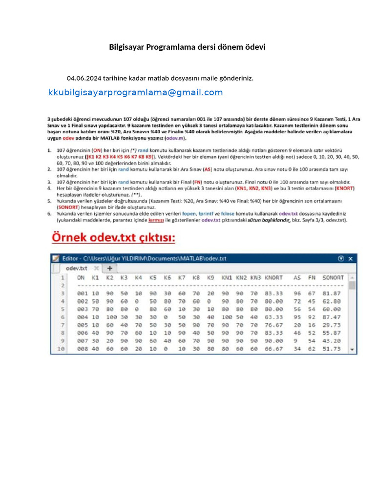 Bilgisayar Programlama Dersi Dönem Ödevi 2023-2024 | PDF