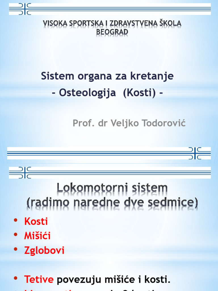 Anatomija, MS, 1, Kosti | PDF