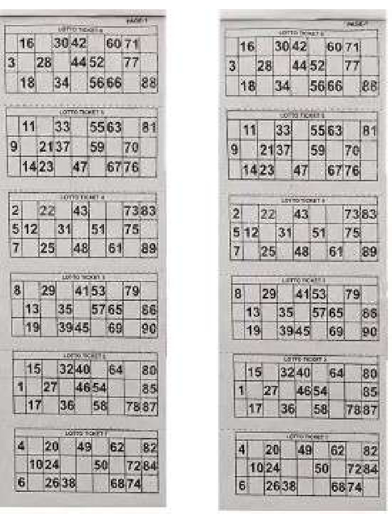 Tambola Tickets Book 2400 Tickets Ticket Book Set For Ladies Original ...