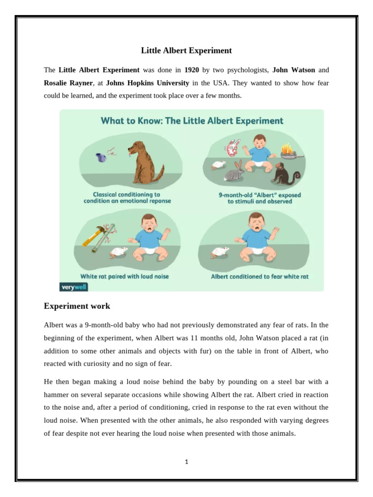 Little Albert Experiment Overview | PDF | Psychological Concepts ...