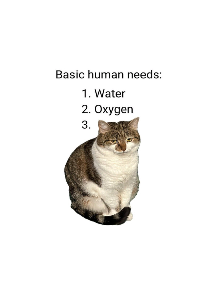 Basic Human Needs | PDF