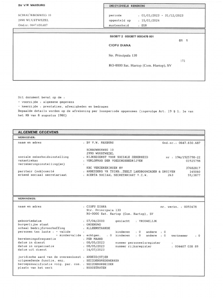 Ciofu Diana - Individuele Rekening 2023 4 | PDF