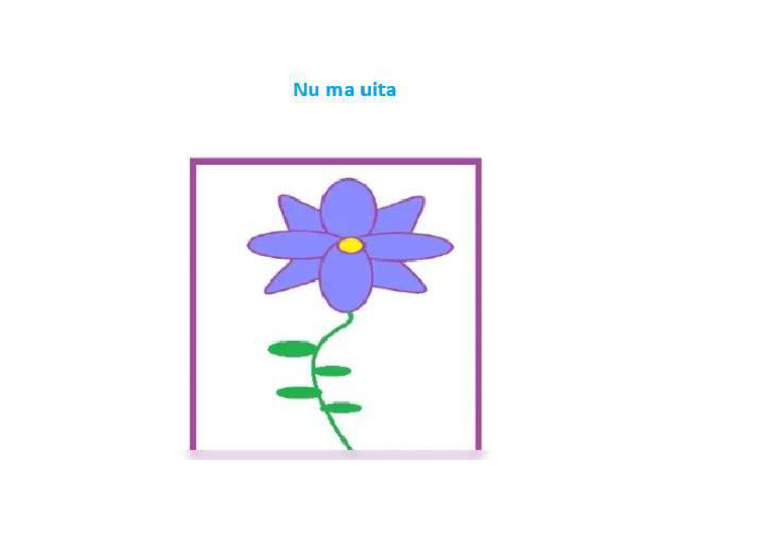 Floare | PDF