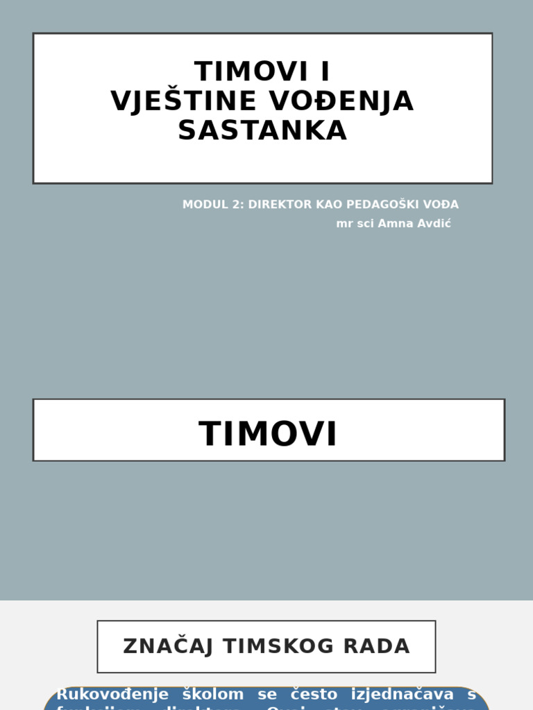 Modul 2 Timovi I Vještine Vođenja Sastanka | PDF