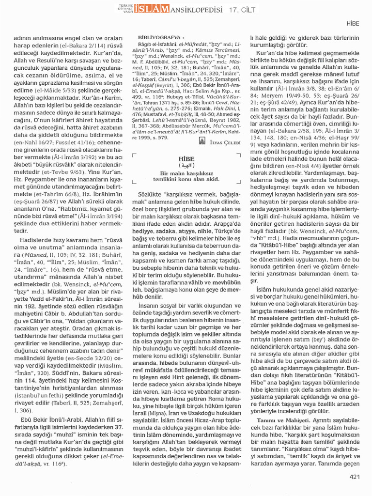 TDV DİA Hibe Kavramı | PDF