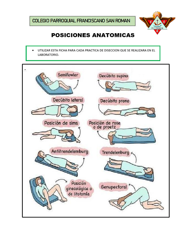 Posiciones Anatomicas | PDF