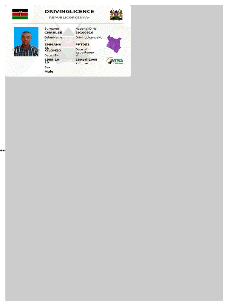 Kingesi Driving Licence | PDF