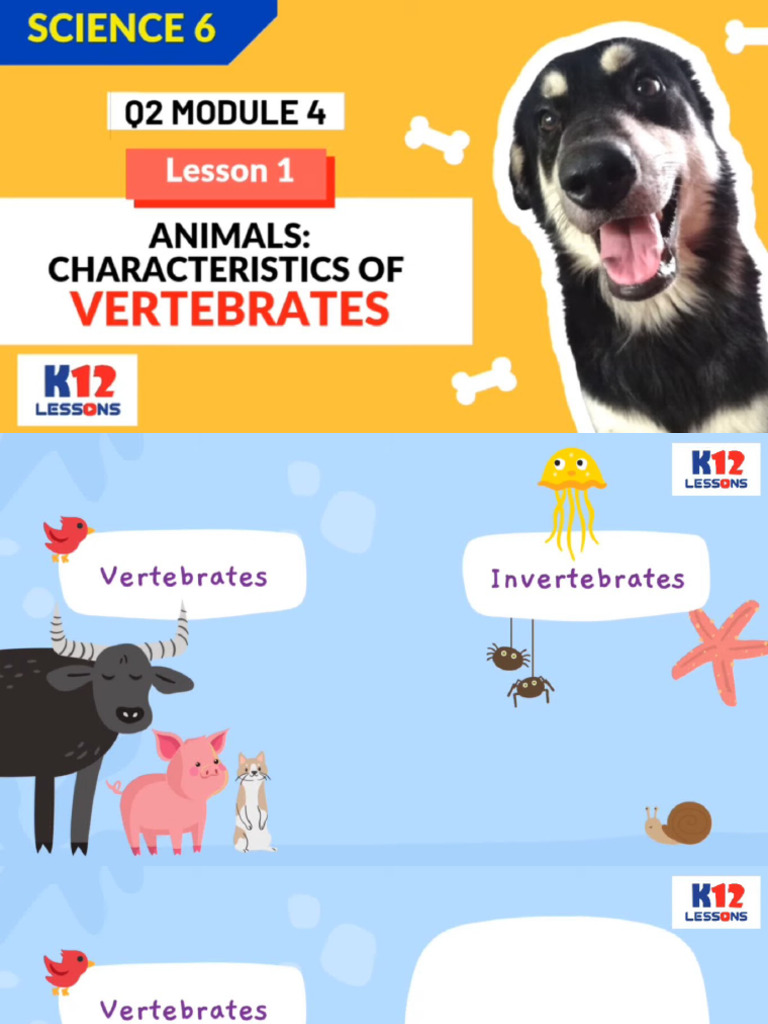Vertebrates and Invertebrates | PDF