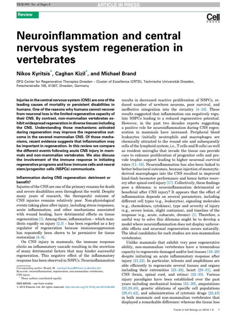 2-Neuroinflammation and Central - Nervous System Regeneration in ...