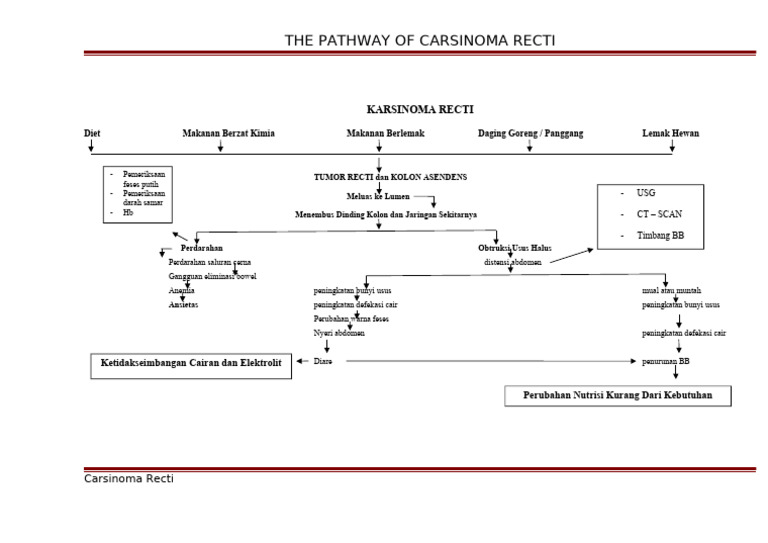 Pathway CA RECTI | PDF