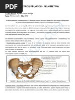 Anatomía de la Pelvis: Diámetros y Límites | PDF | Ciencia y matemáticas