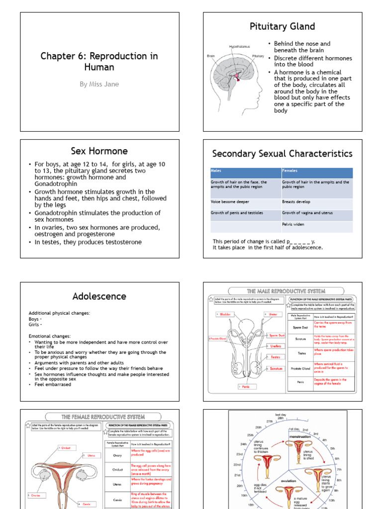 Human Reproduction and Development Guide | PDF | Placenta | Fertilisation