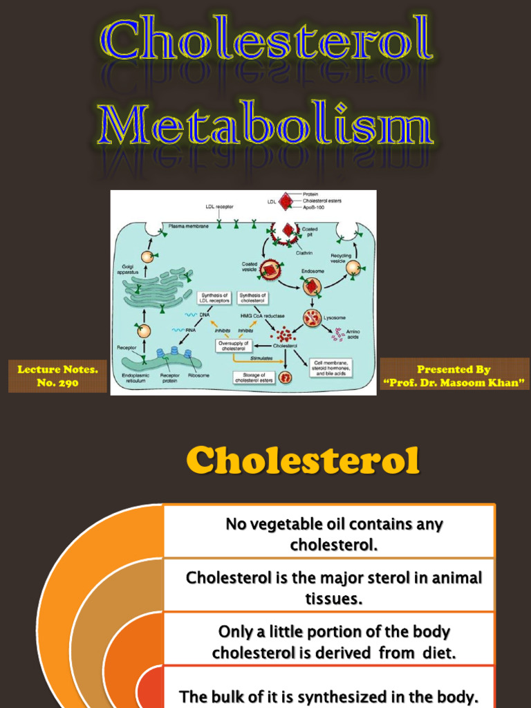 Cholesterol Metabolism | PDF | Cholesterol | Steroid