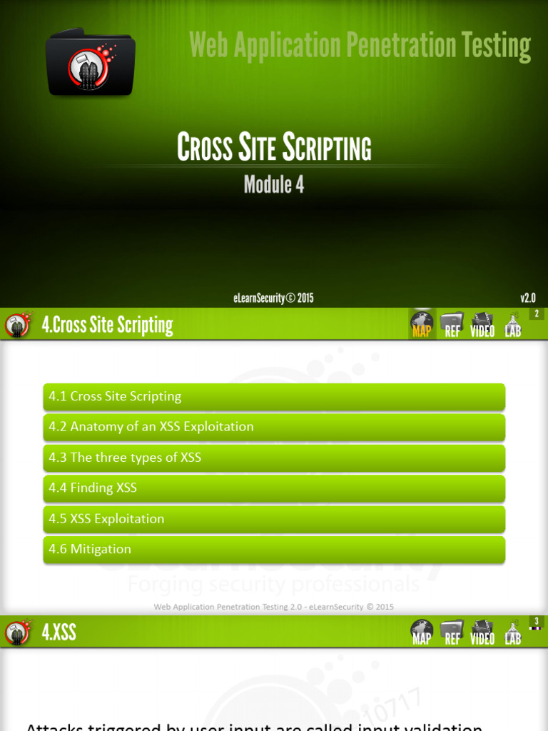 10717-4 Cross Site Scripting | PDF | Http Cookie | World Wide Web