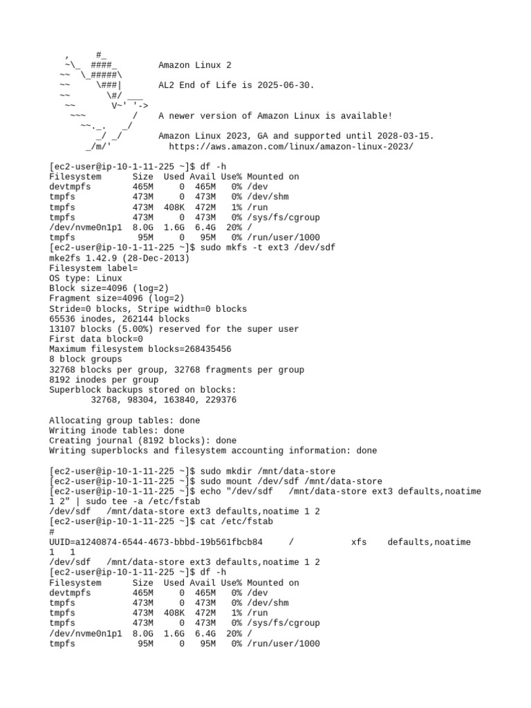 ebs cli | PDF | File System | System Software