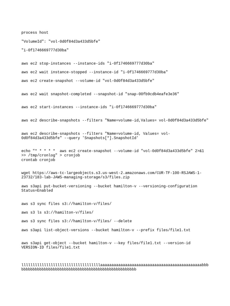 AWS EBS Snapshot and S3 Management Lab | PDF | Computer File | Command Line Interface