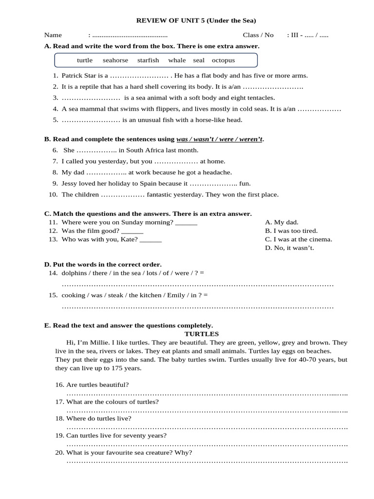 Review of Unit 5 - Grade 3 | PDF