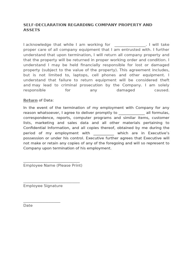 Company Property Self-Declaration Form | PDF
