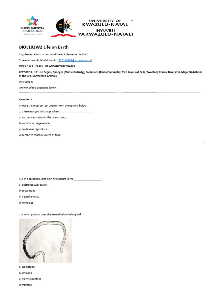 BIOL102W2 SI Worksheet 3 Nombulelo 2024 | PDF | Sponge | Organisms