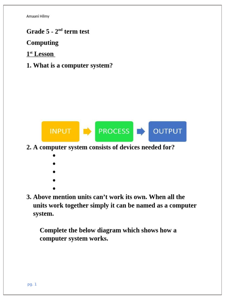 Grade 5 question paper | PDF | Printer (Computing) | Input/Output