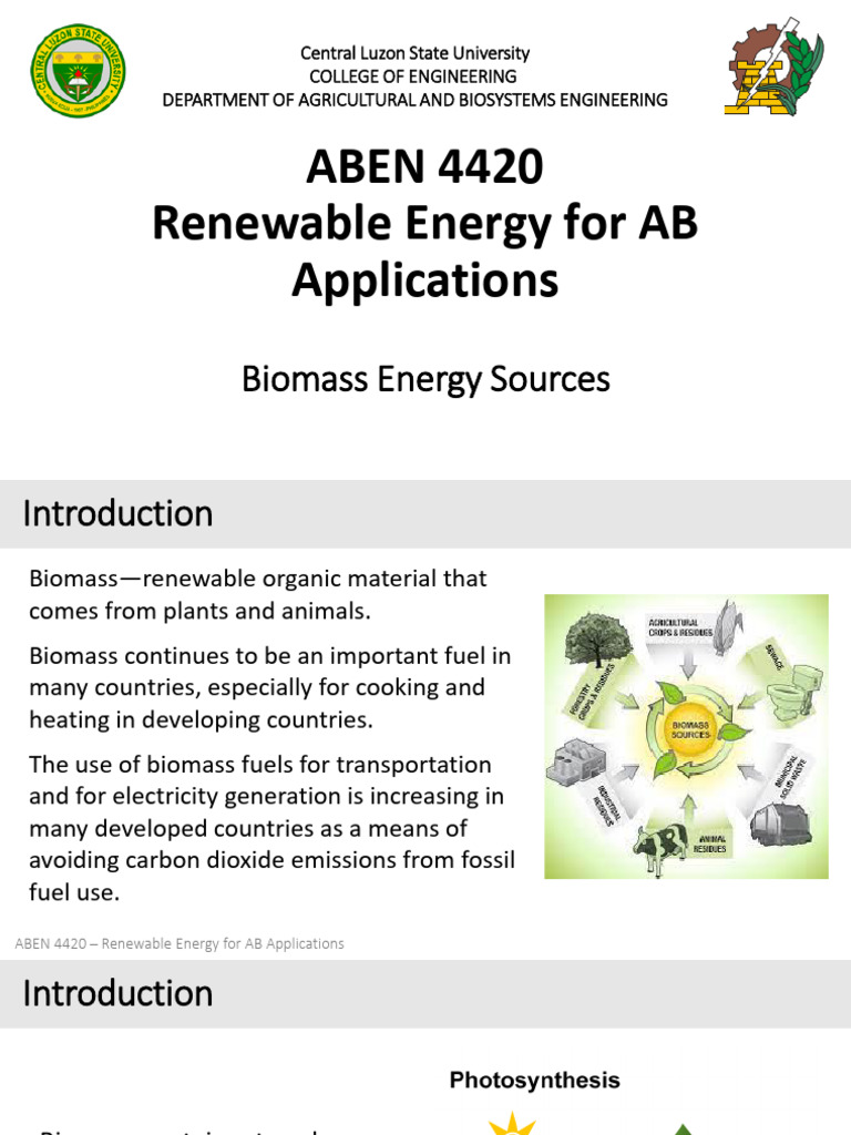 Biomass Energy Sources and Biofuels Guide | PDF | Biofuel | Pyrolysis