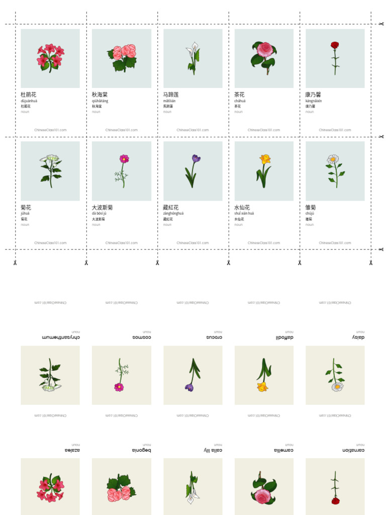 Chinese Flowers | PDF