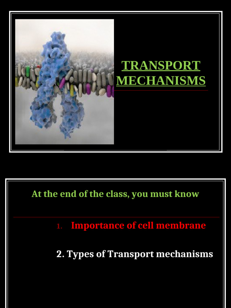 Cell Cycle and Transport Mechanisms | PDF | Cell Membrane | Lipid Bilayer