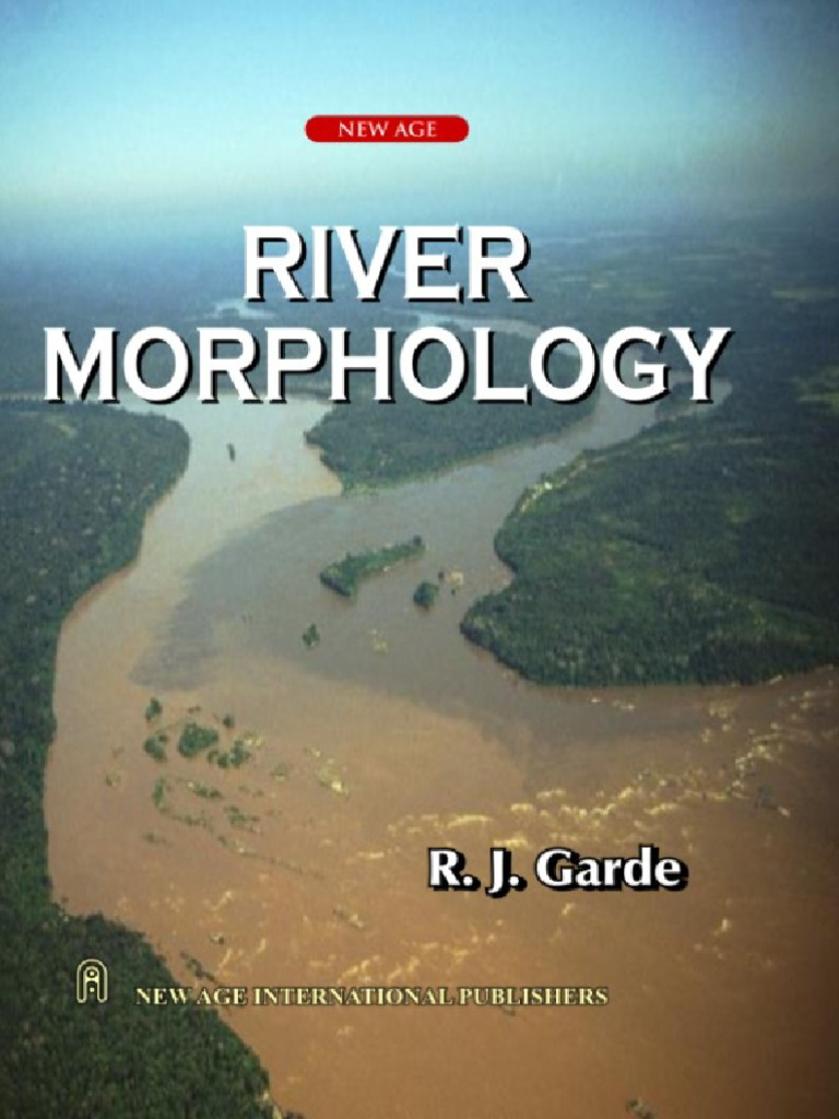 River Morphology and Management Insights | PDF | Geomorphology | River