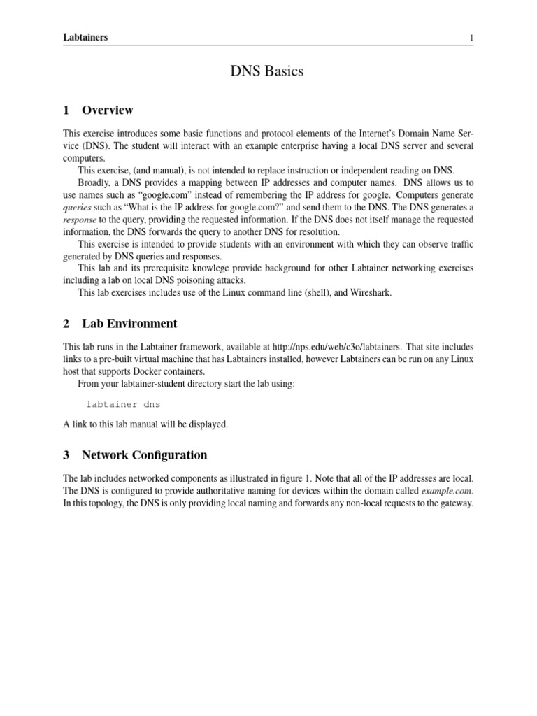 DNS | PDF | Domain Name System | Computer Network