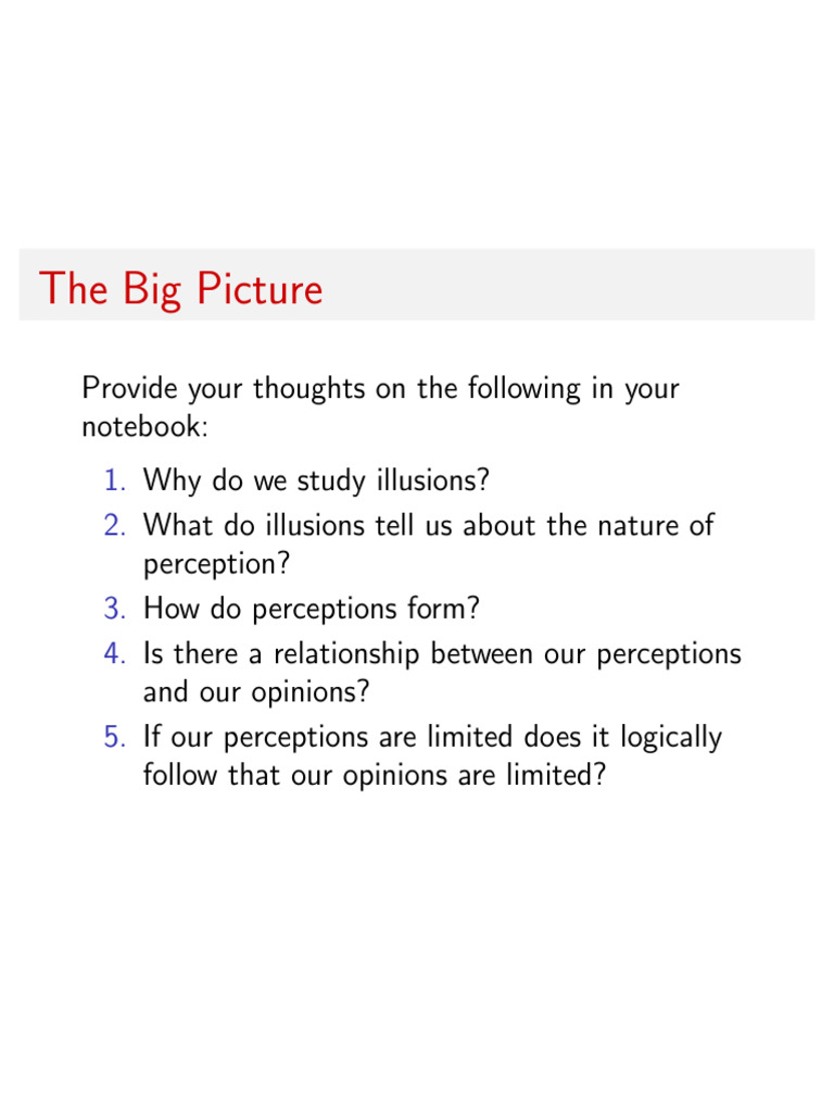 Big Idea Questions | PDF