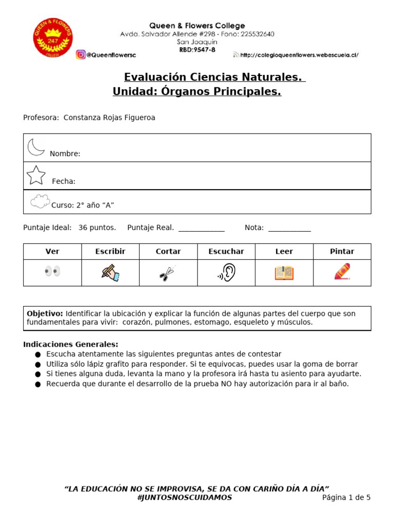 Evaluación de Órganos del Cuerpo | PDF | Pulmón | Esqueleto