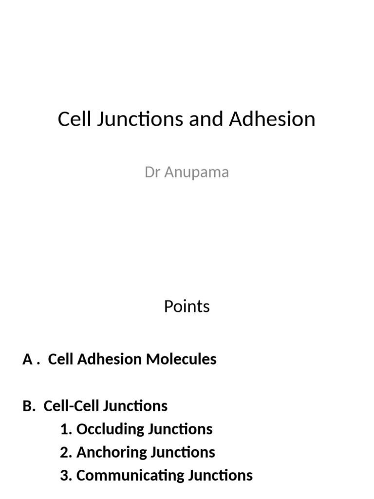 Cell Junctions and Adhesion Mechanisms | PDF | Cell Adhesion | Biochemistry