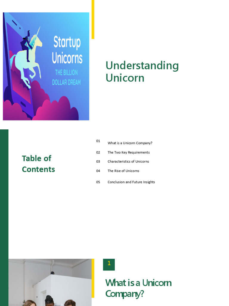 Understanding Unicorn | PDF
