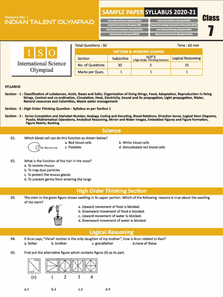 ISO Class 7 Sample Paper | PDF