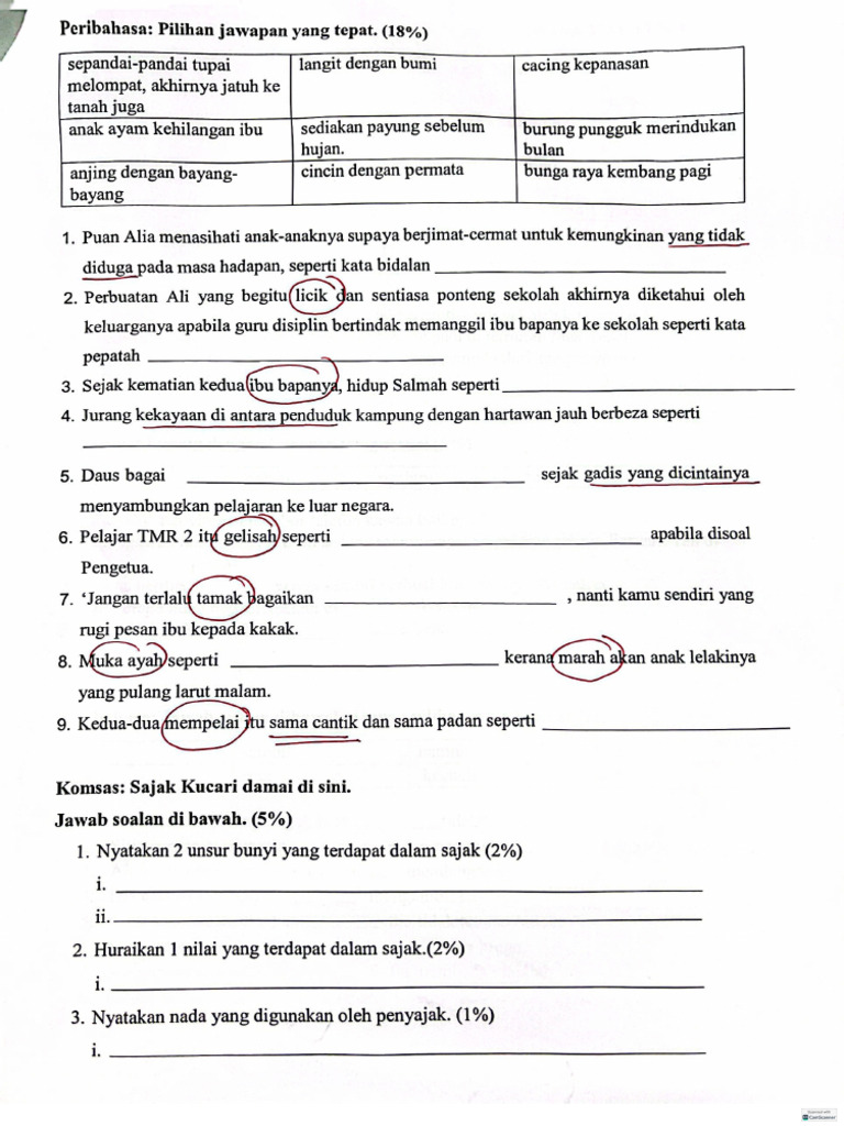 TMR 2 Ulangkaji Peribahasa Dan Novel | PDF