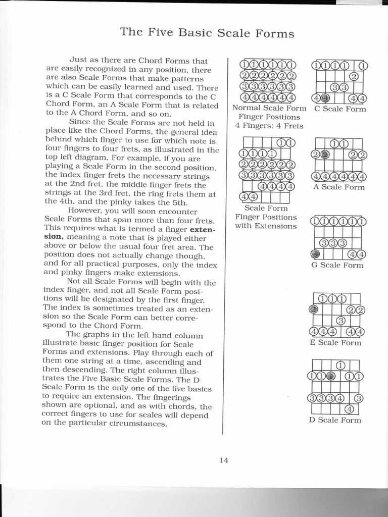 Five Basic Guitar Scale Forms | PDF | Scale (Music) | Chord (Music)