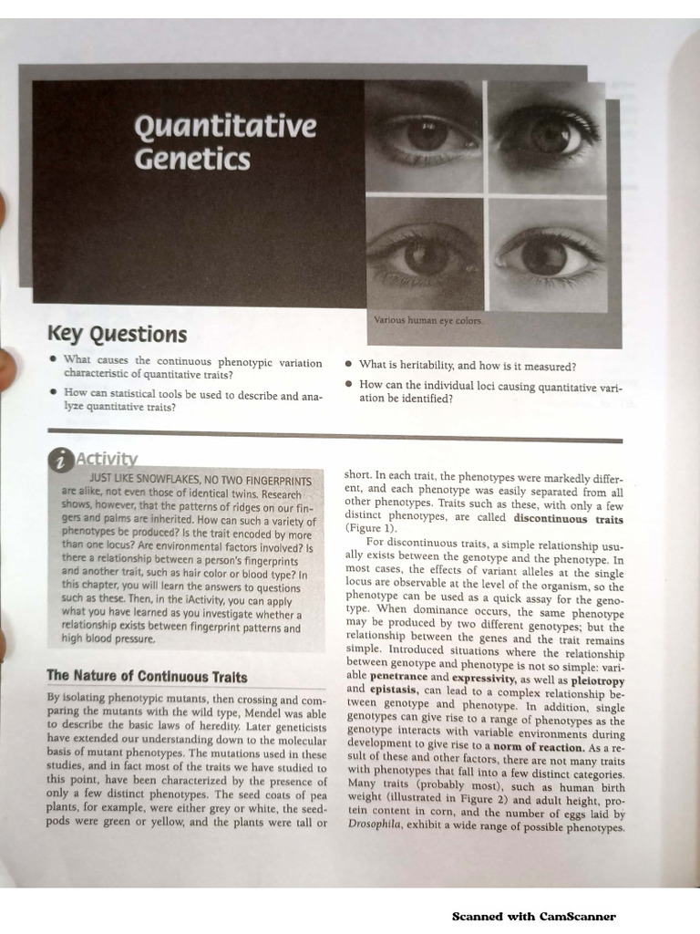 Quantitative Genetics | PDF