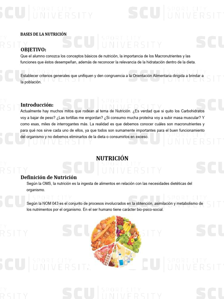 Abrir SCU BOOK BASES DE LA NUTRICIÓN 2024 | PDF | gordo | Nutrientes