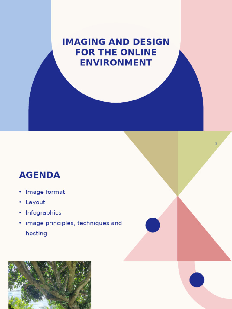 Online Imaging and Design Essentials | PDF | Graphics | Image