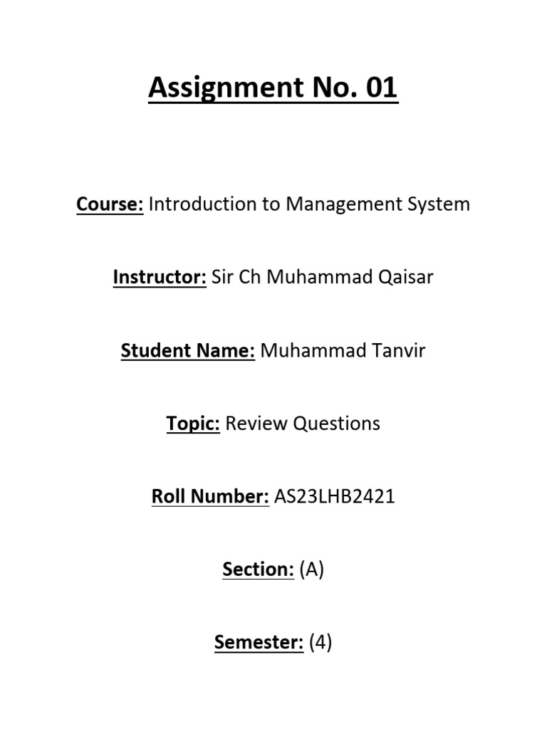MIS Assignment 01 | PDF | Information System | System