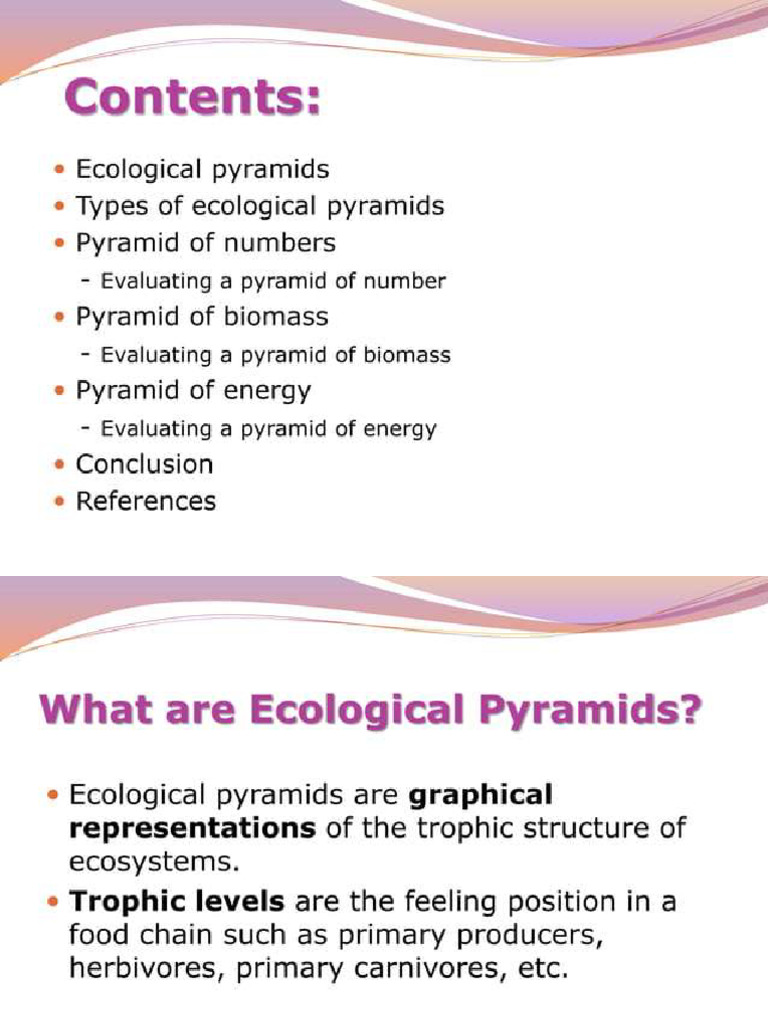 Ecological Pyramid | PDF