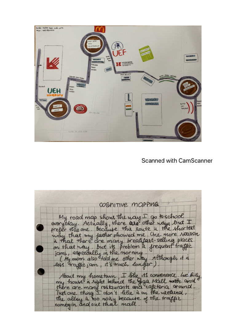 Cognitive Mapping | PDF