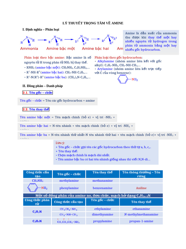 LÝ THUYẾT TRỌNG TÂM VỀ AMINE | PDF