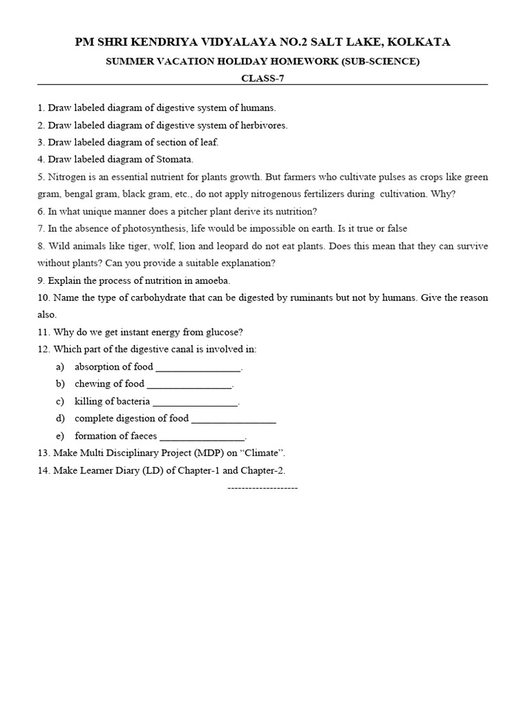 Class 7 Science Summer HHW | PDF