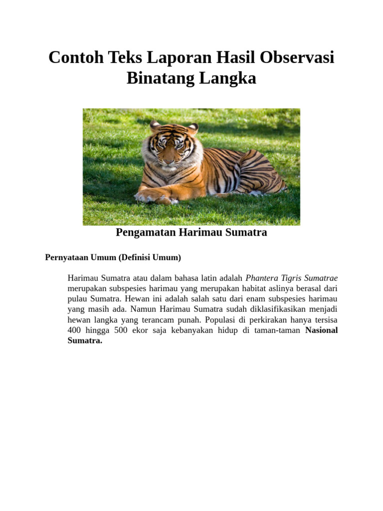Contoh Teks Laporan Hasil Observasi Binatang Langka | PDF