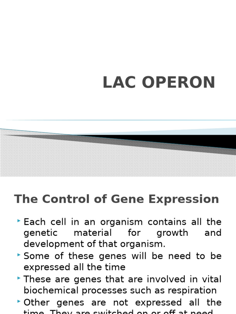 Lac Operon | PDF | Operon | Repressor