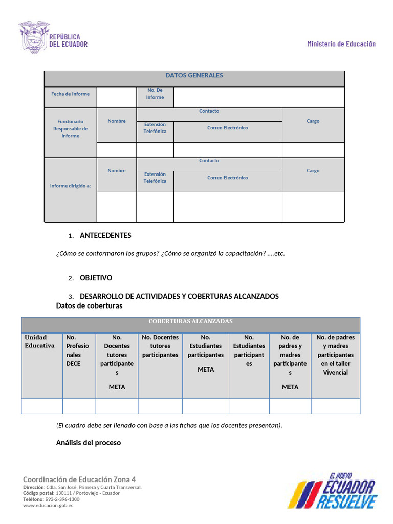 Formato Informe Final Eeff 2024 | PDF