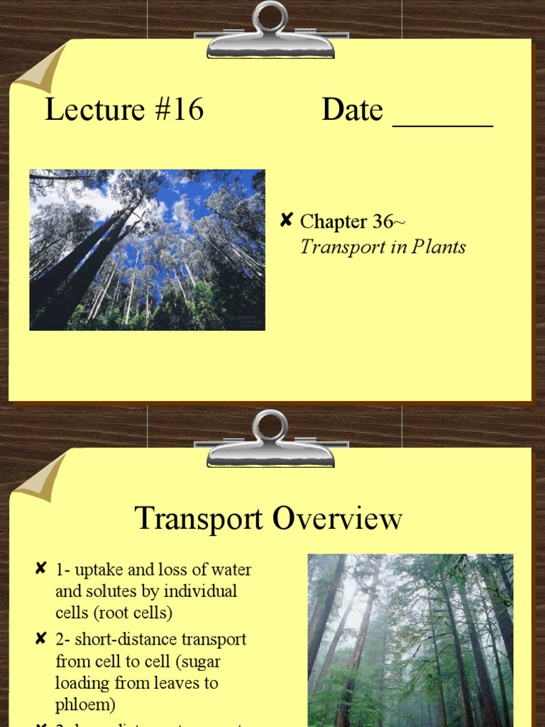 Lecture 16, Ch. 36 | PDF